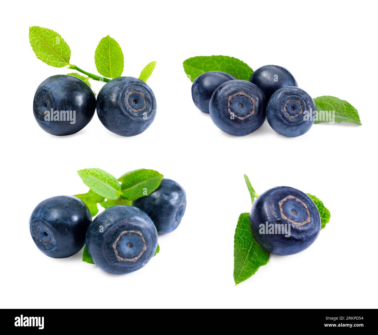 Set with tasty fresh bilberries and green leaves isolated on white ...