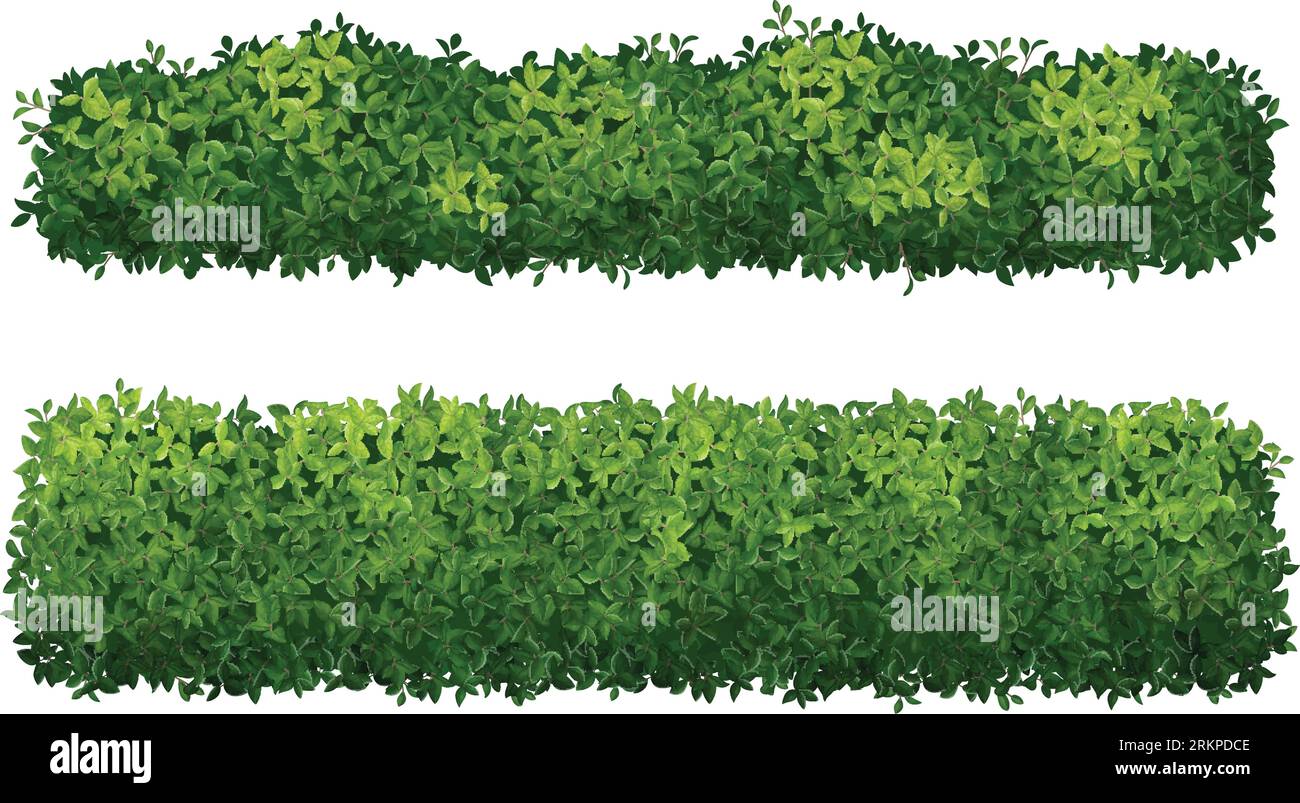 Realistic bushes green hedges set isolated on white background vector ...