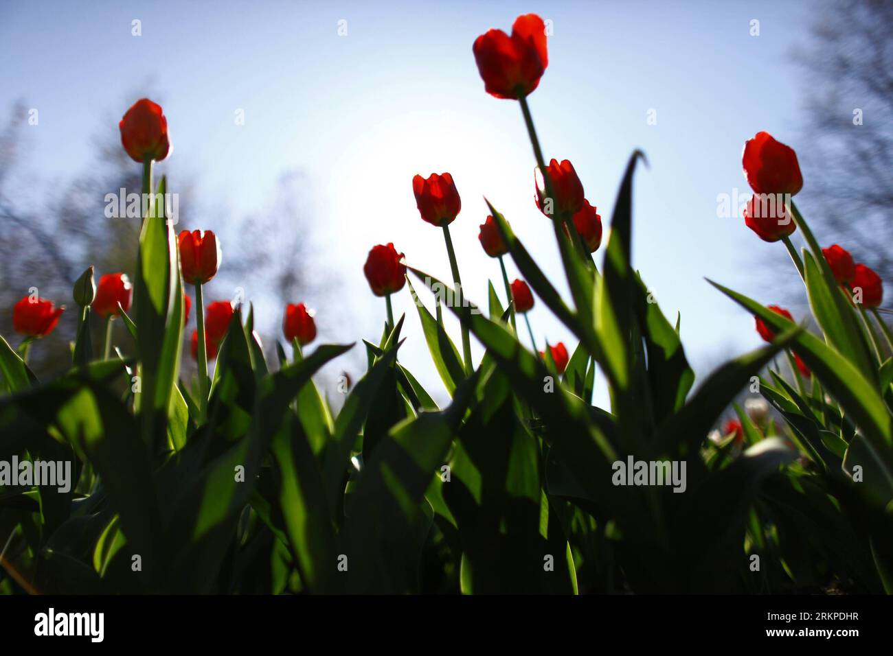 David dow hi-res stock photography and images - Alamy