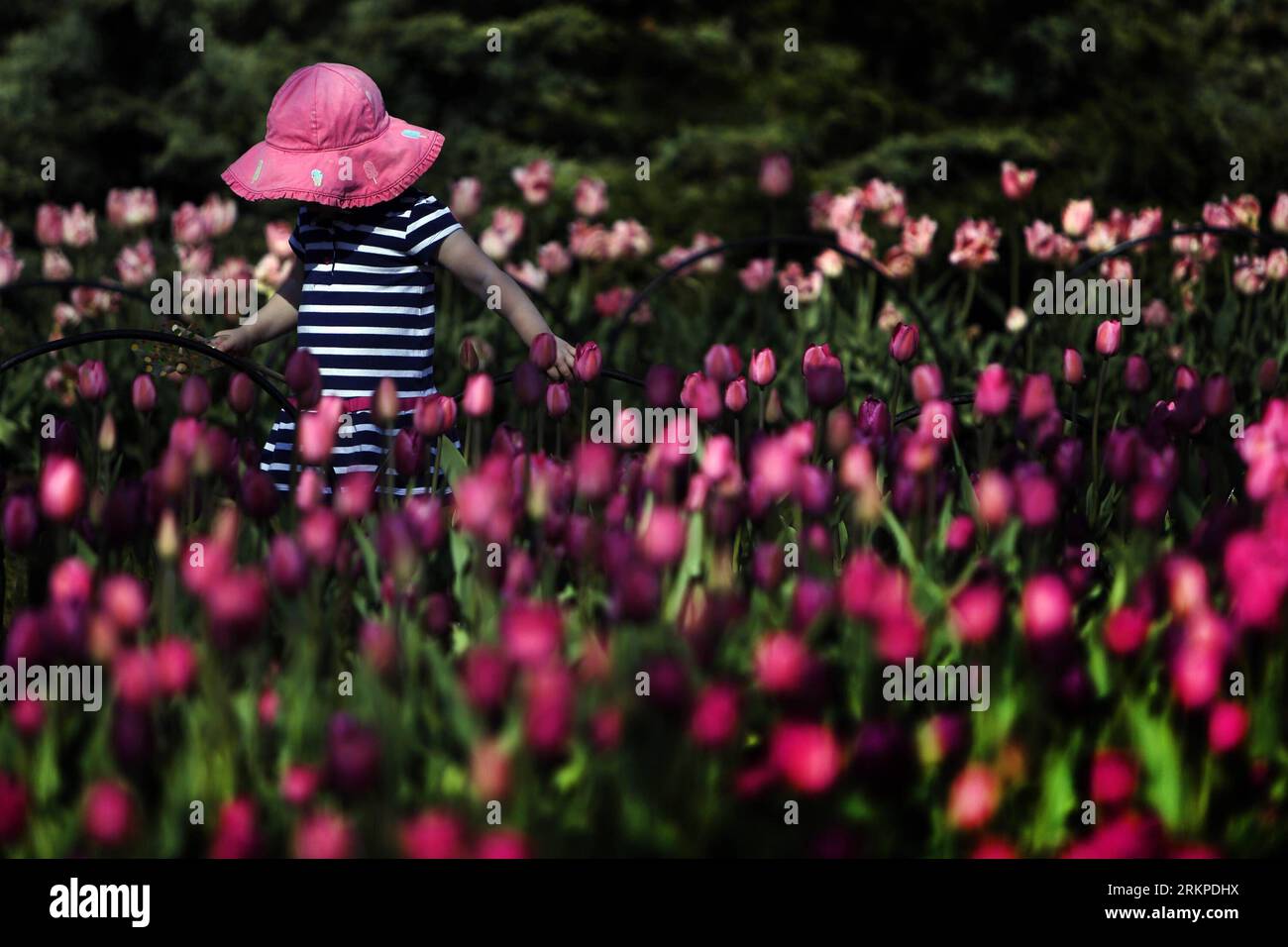 David dow hi-res stock photography and images - Alamy