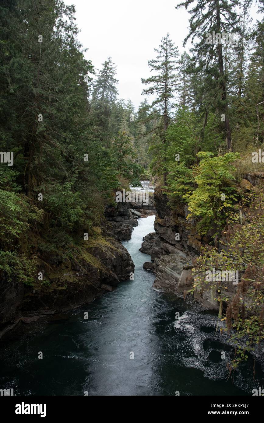 Stamp River is a major salmon water at Vancouver Island in Canada Stock ...