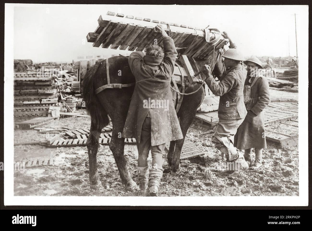 On the Western Front. World War I or the First World War, often ...