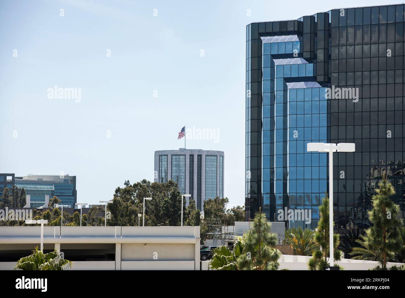 Afternoon sun shines on a palm framed view of the downtown skyline of ...