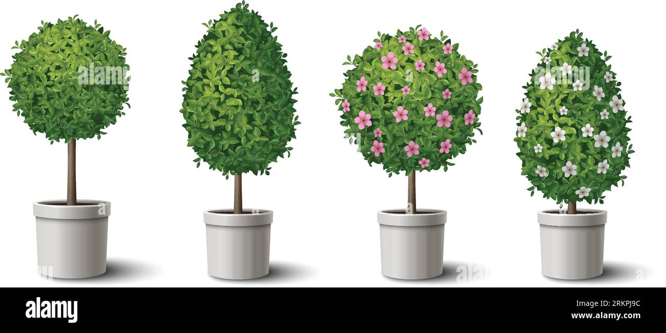 Small shaped green trees in pots with and without flowers realistic set ...