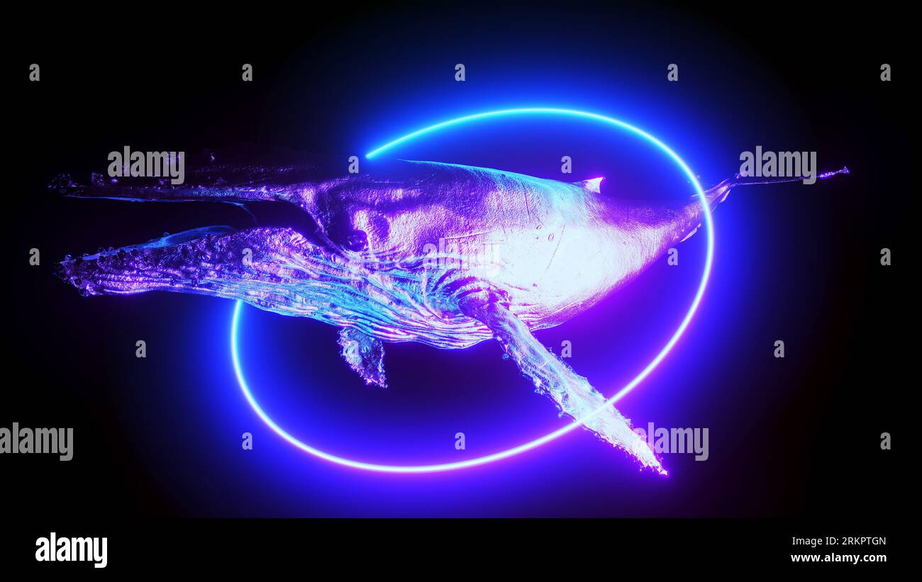 Whale abstract illustration hi-res stock photography and images - Alamy