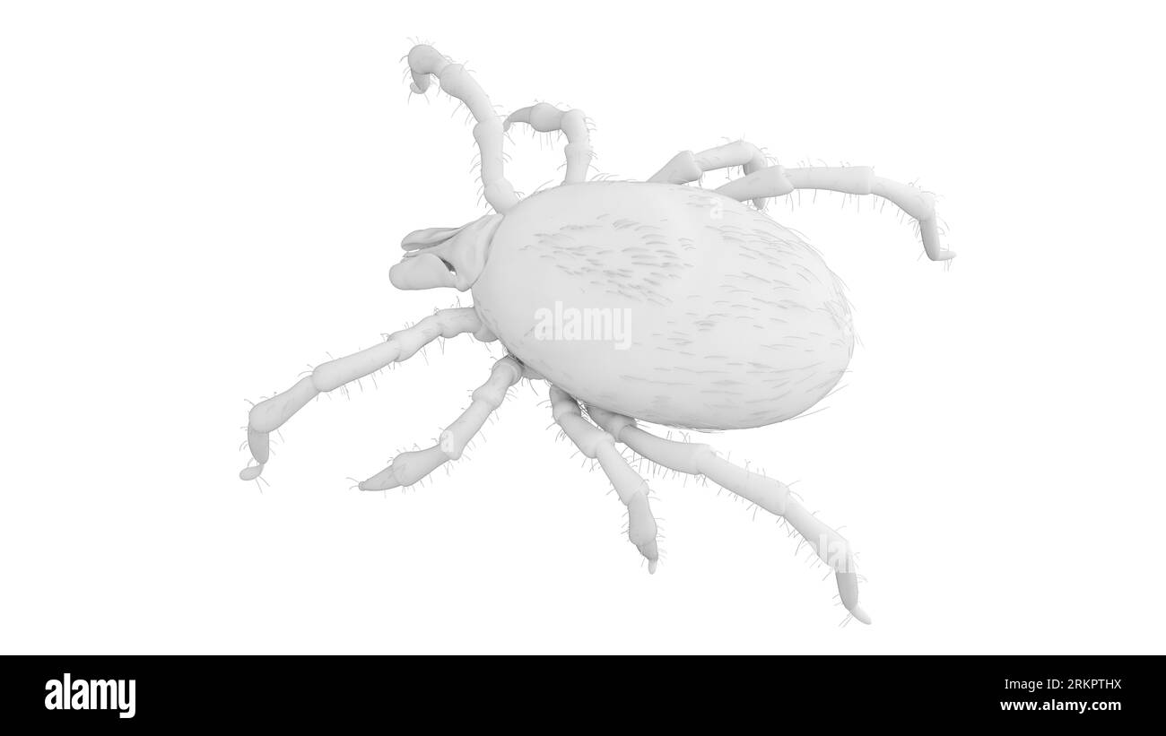 Tick tick Black and White Stock Photos & Images - Alamy