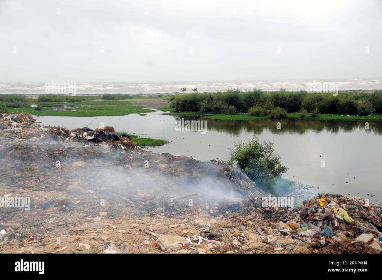 World environment day karachi hi-res stock photography and images - Alamy