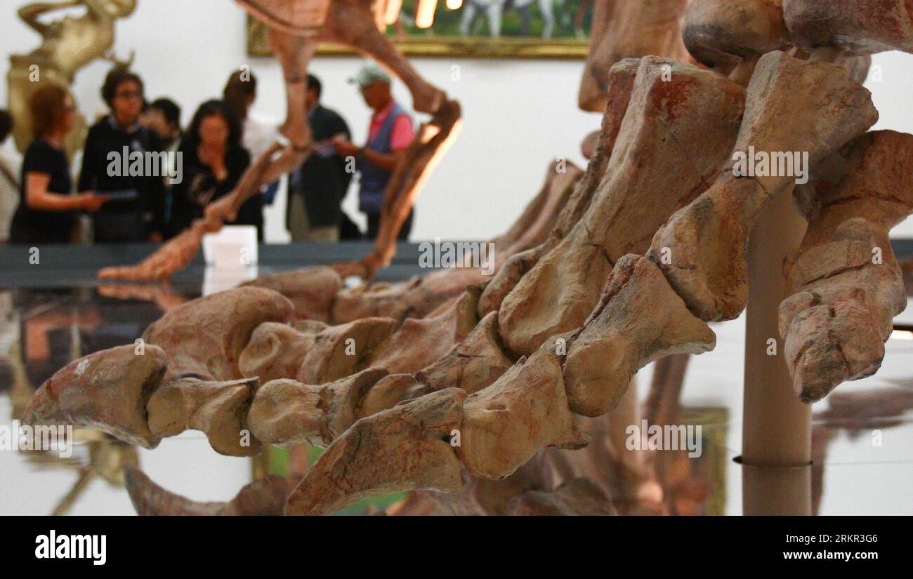 Lessemsaurus hi-res stock photography and images - Alamy