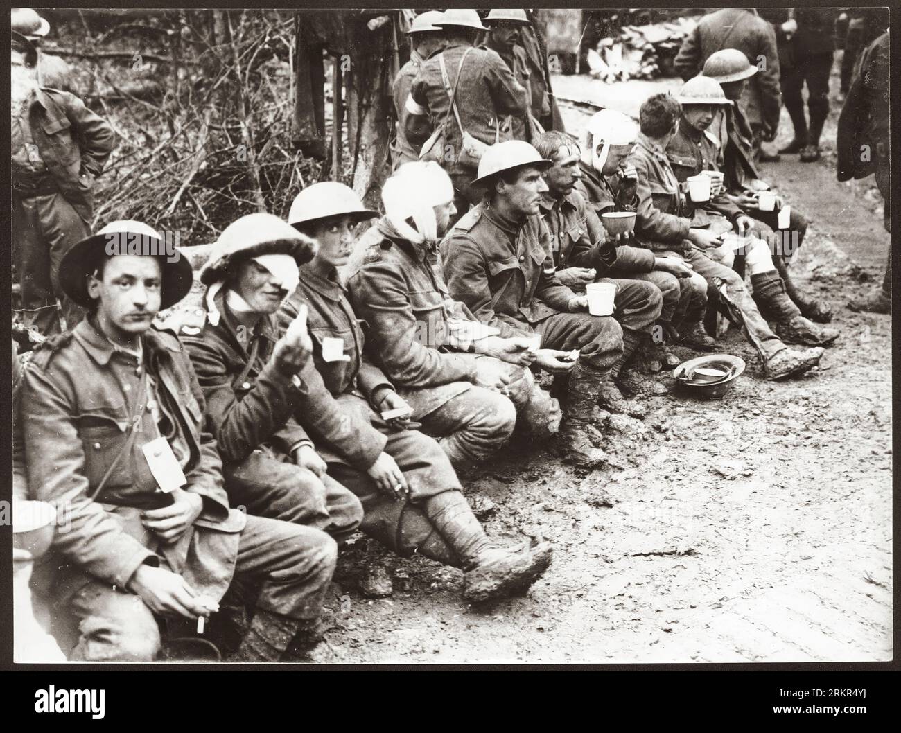 On the Western Front. World War I or the First World War, often ...