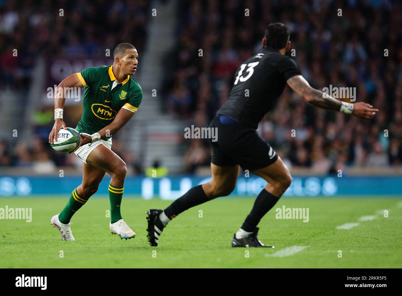 Manie libbok springboks hi-res stock photography and images - Alamy