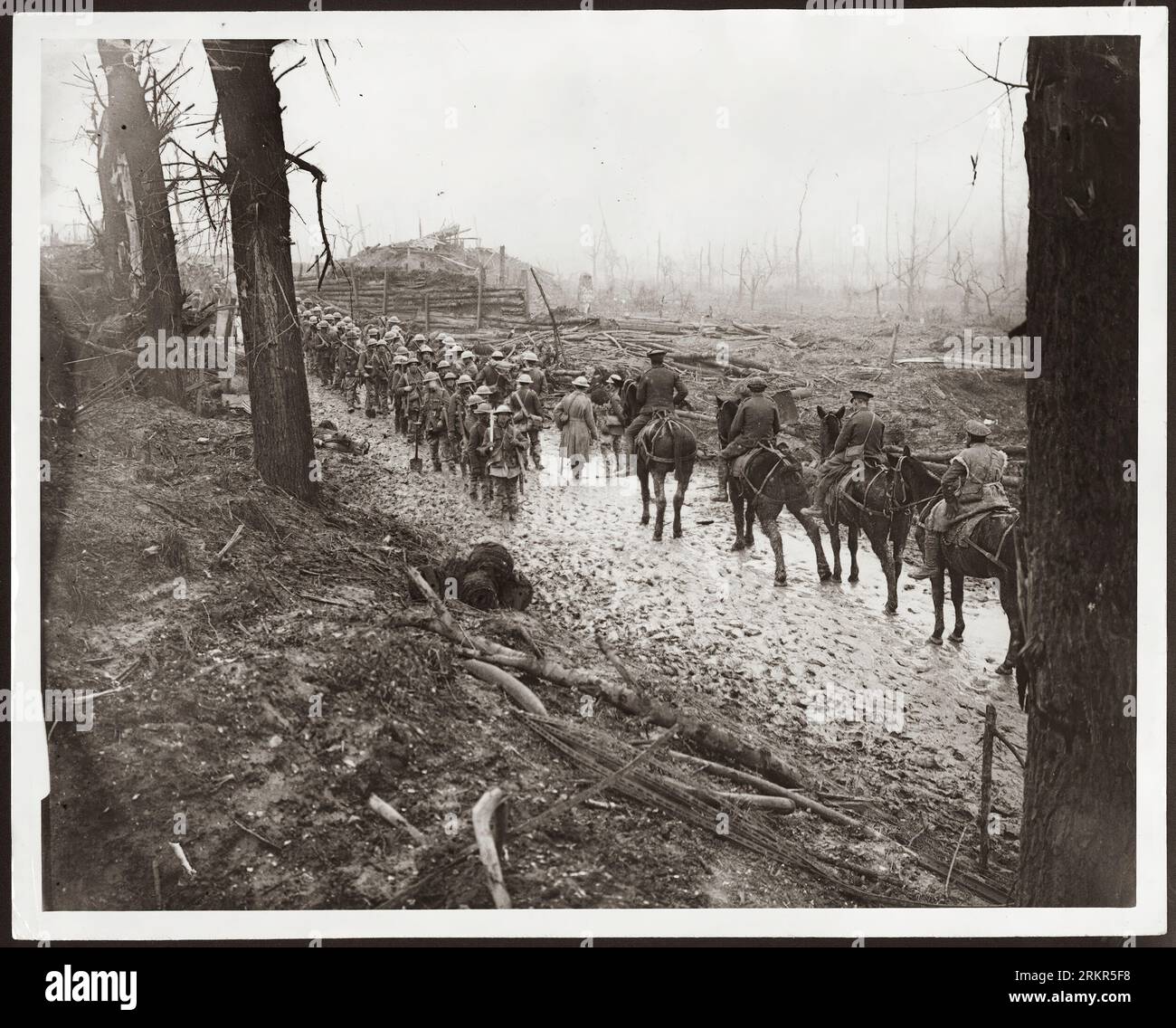 Trench warfare wwi hi-res stock photography and images - Alamy