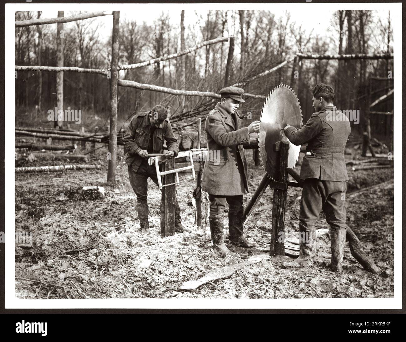 On the Western Front. World War I or the First World War, often ...