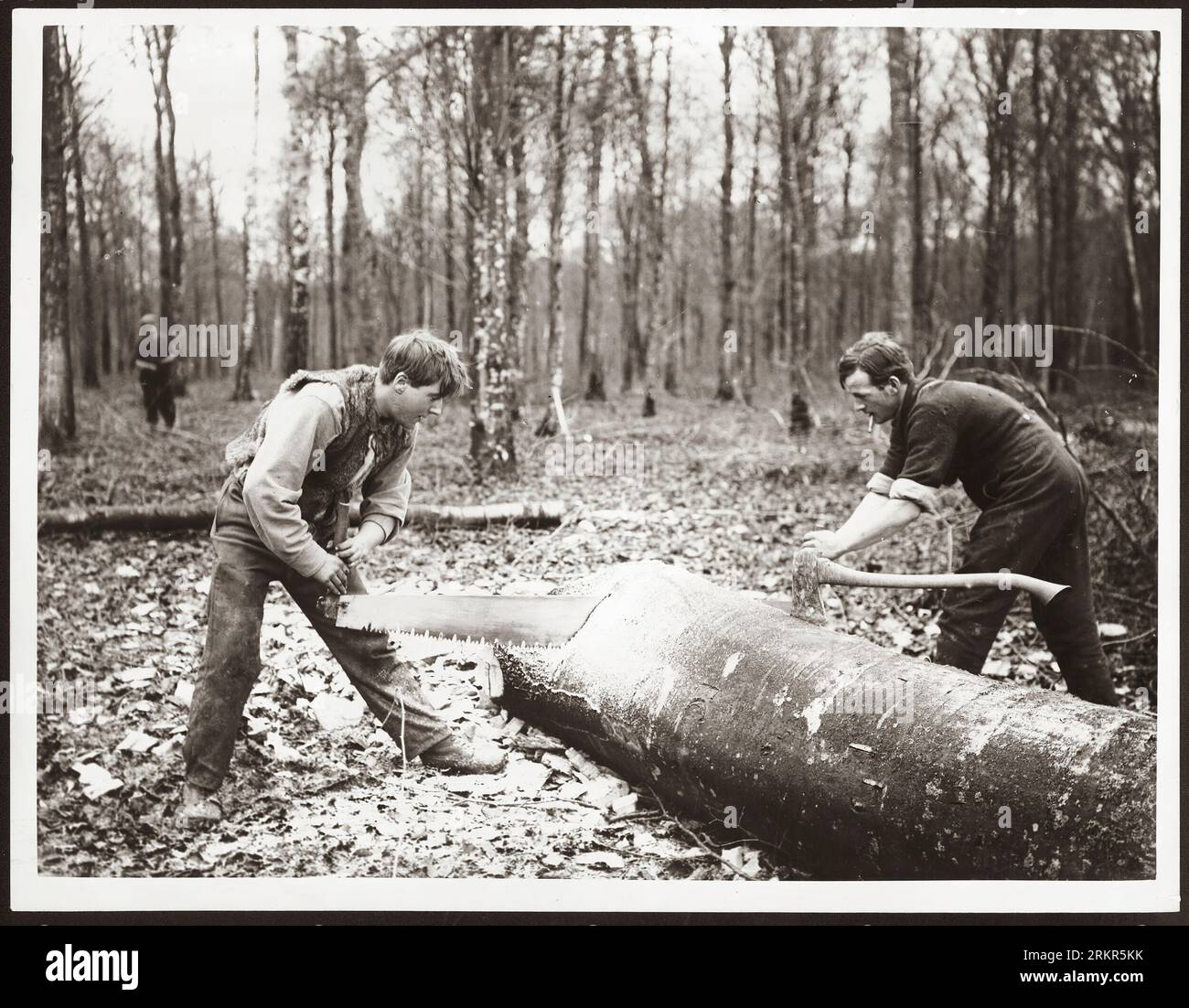 On the Western Front. World War I or the First World War, often ...