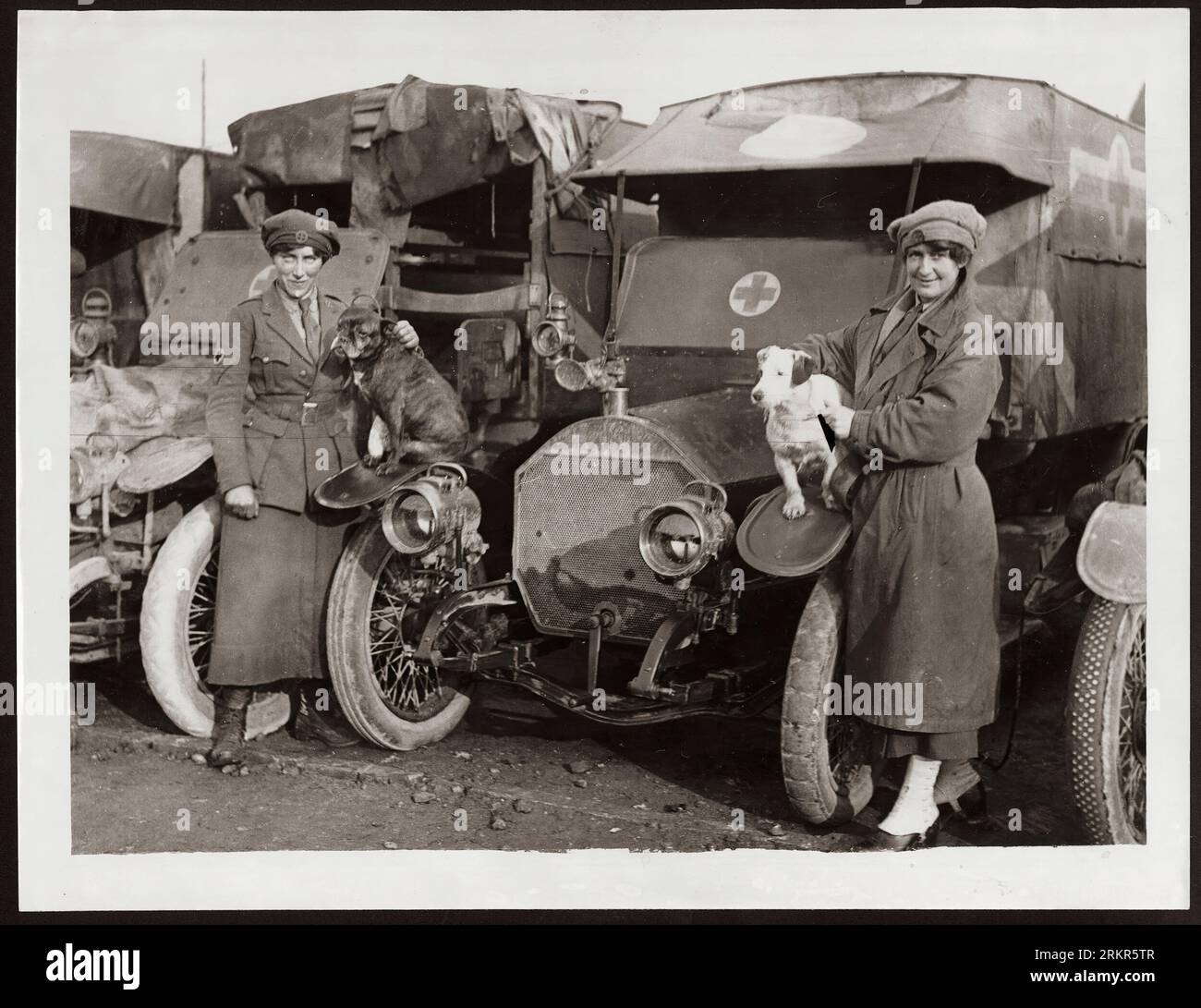 On the Western Front. World War I or the First World War, often ...