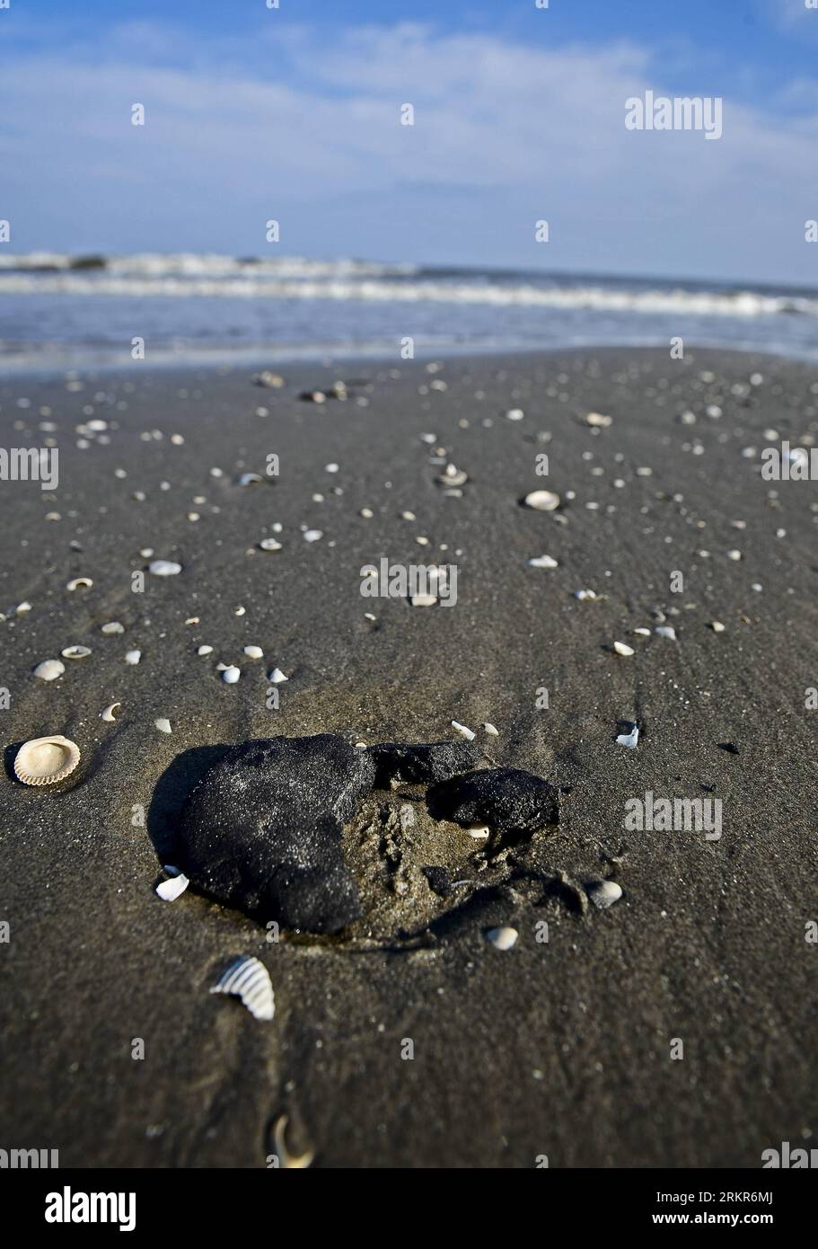 Louisiana oil dead fish hi-res stock photography and images - Alamy