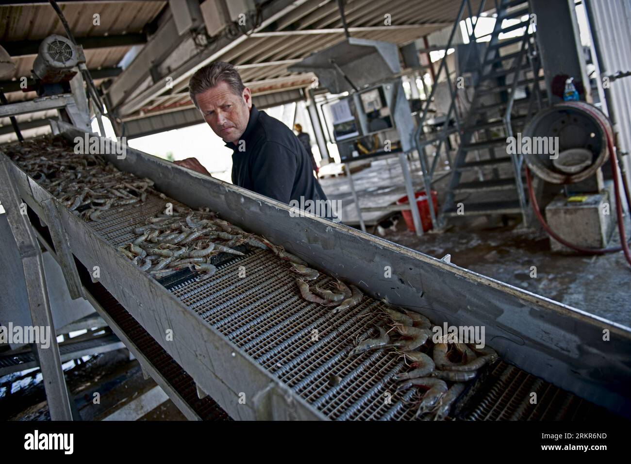 Louisiana oil dead fish hi-res stock photography and images - Alamy
