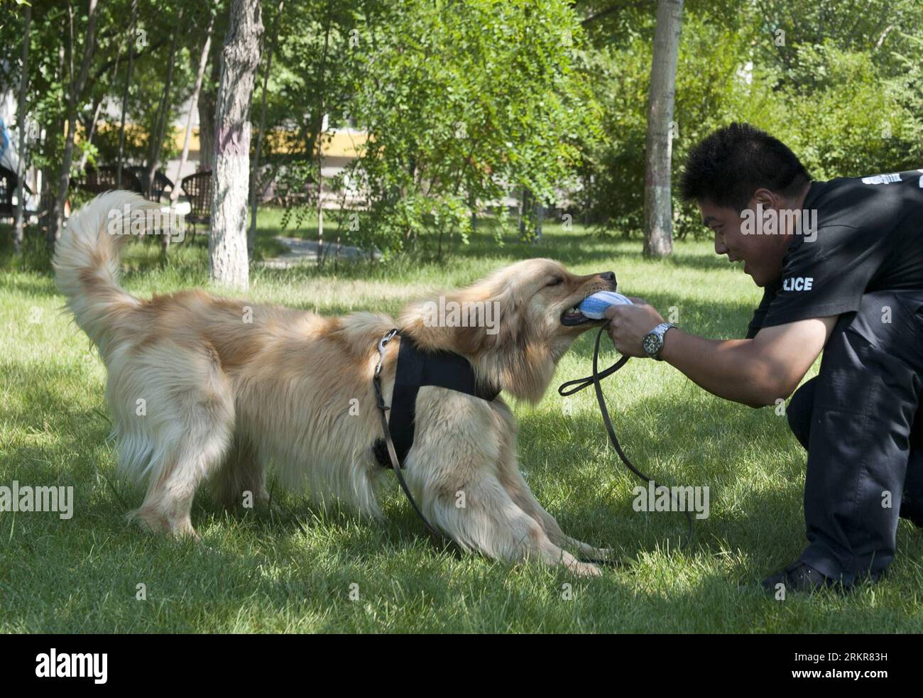 Jinlong wang hi-res stock photography and images - Alamy