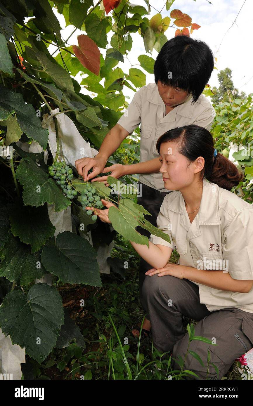 Bildnummer: 58196720 Datum: 06.07.2012 Copyright: imago/Xinhua (120706 ...