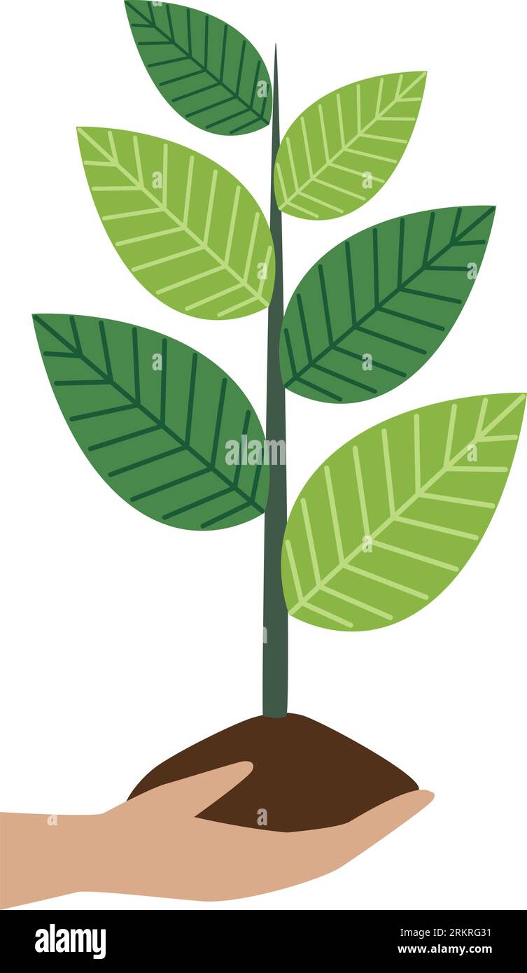 ecology hand with plant Stock Vector Image & Art - Alamy