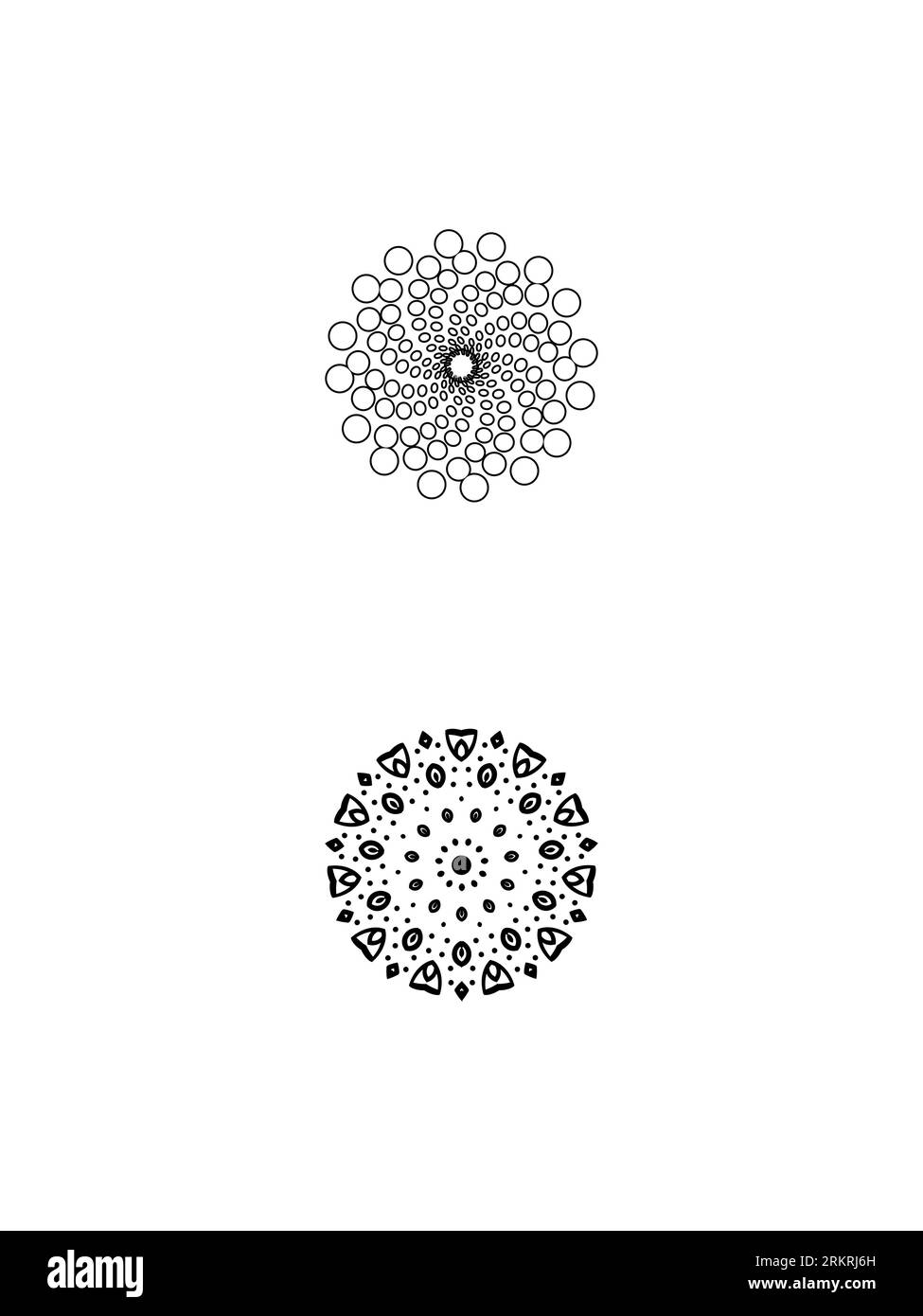 Snowflake flower vector vectors Black and White Stock Photos & Images ...