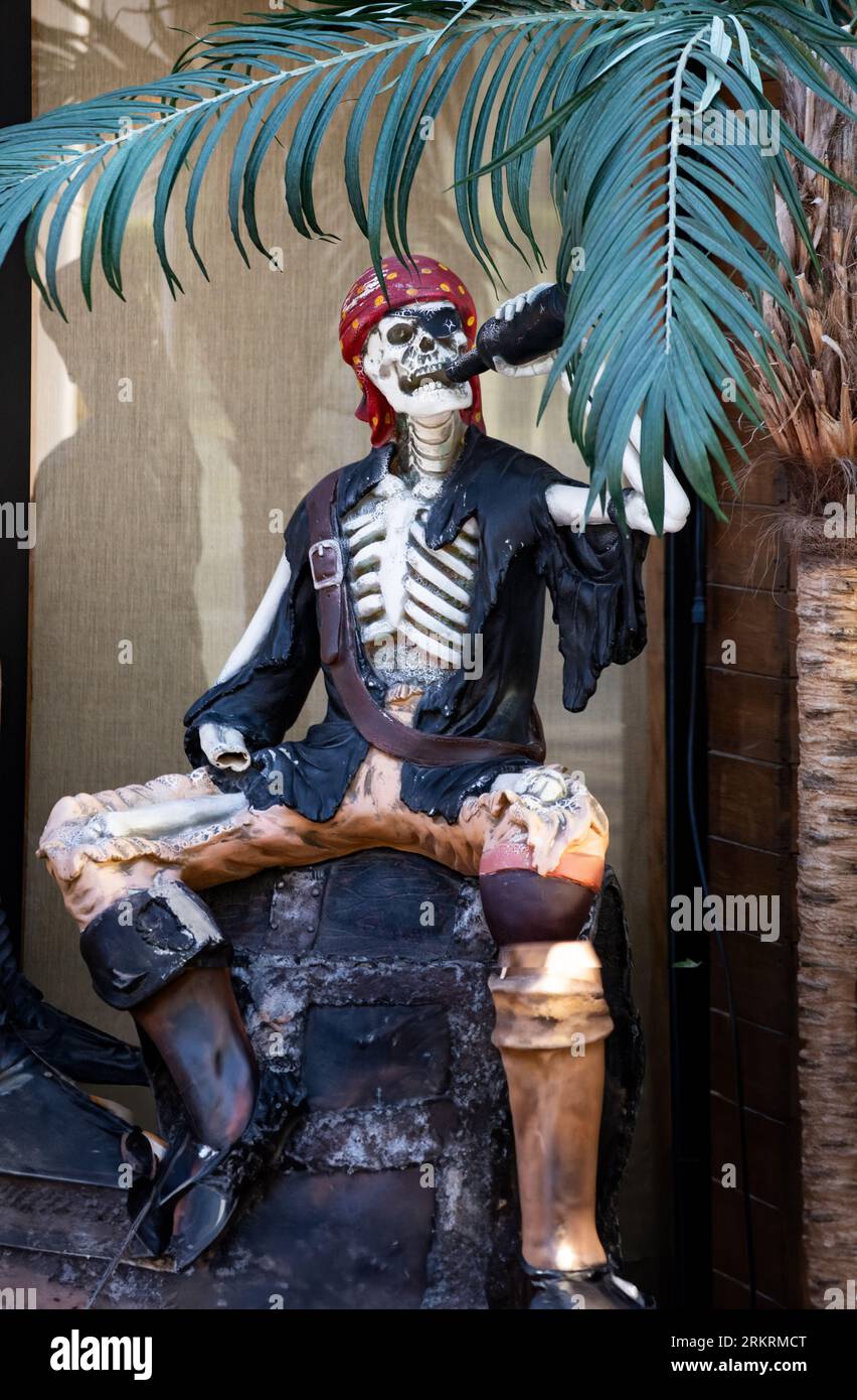 skeleton dummy of pirate drinking rum Stock Photo - Alamy