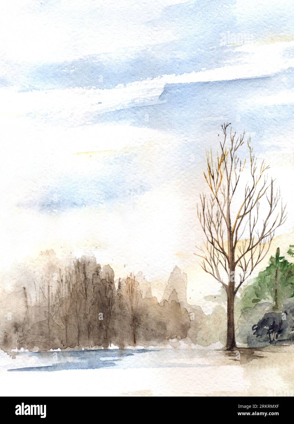 Watercolor spring sunny wood forest flood landscape Stock Photo - Alamy