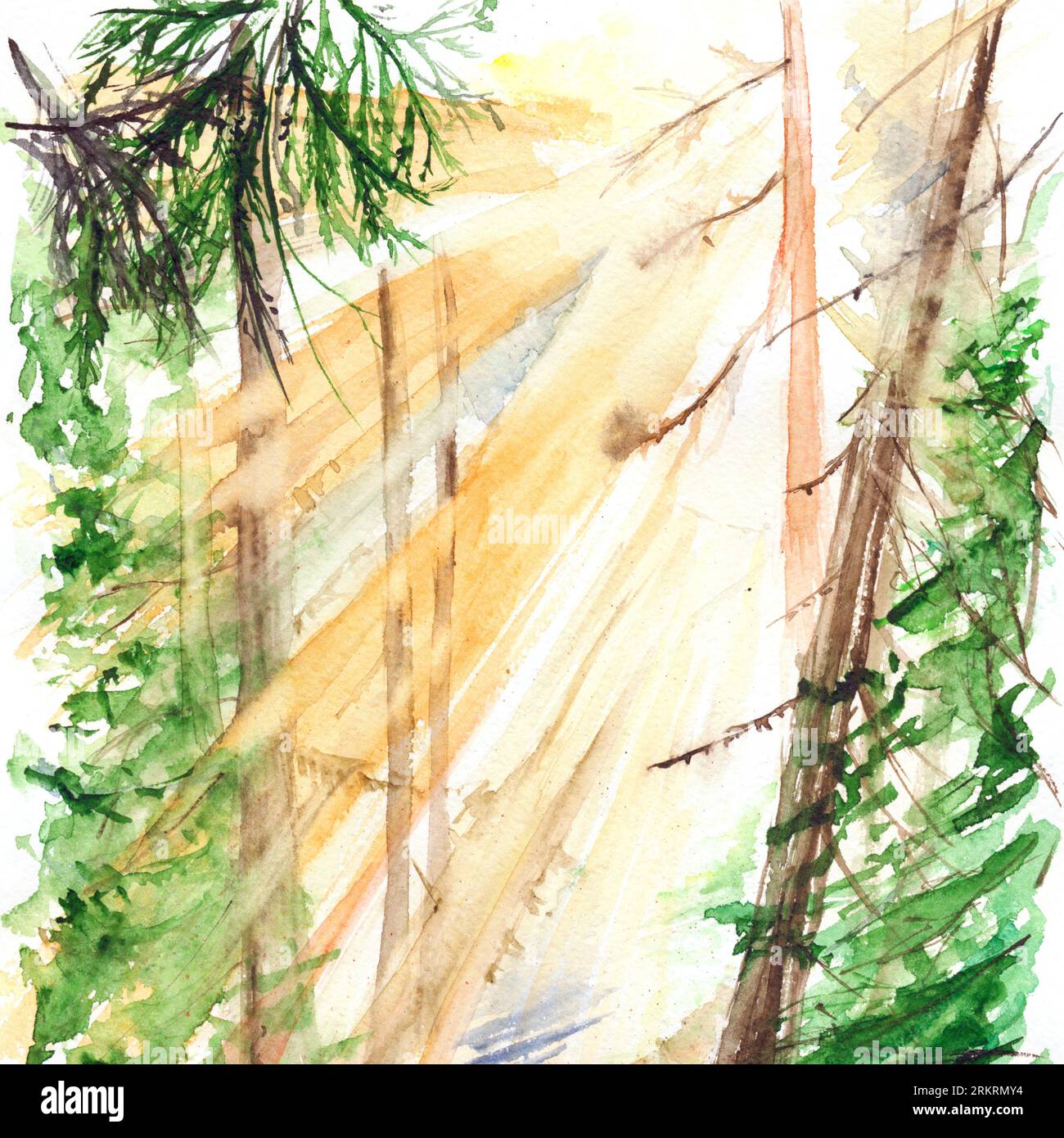 Watercolor morning yellow sunlight wood forest landscape Stock Photo ...