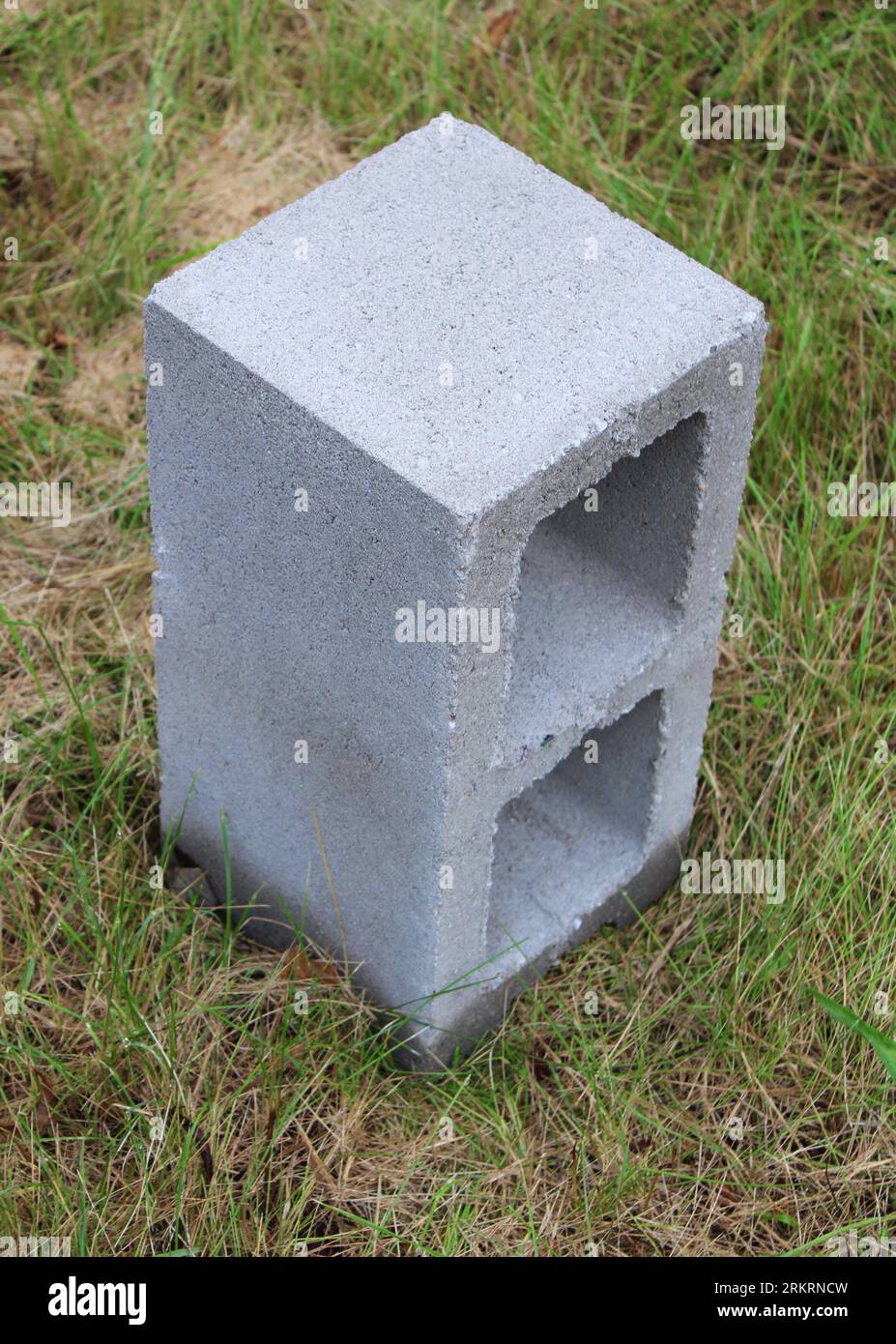 A Standard Gray Cinder Block Standing Vertically in a Patch of Grass ...