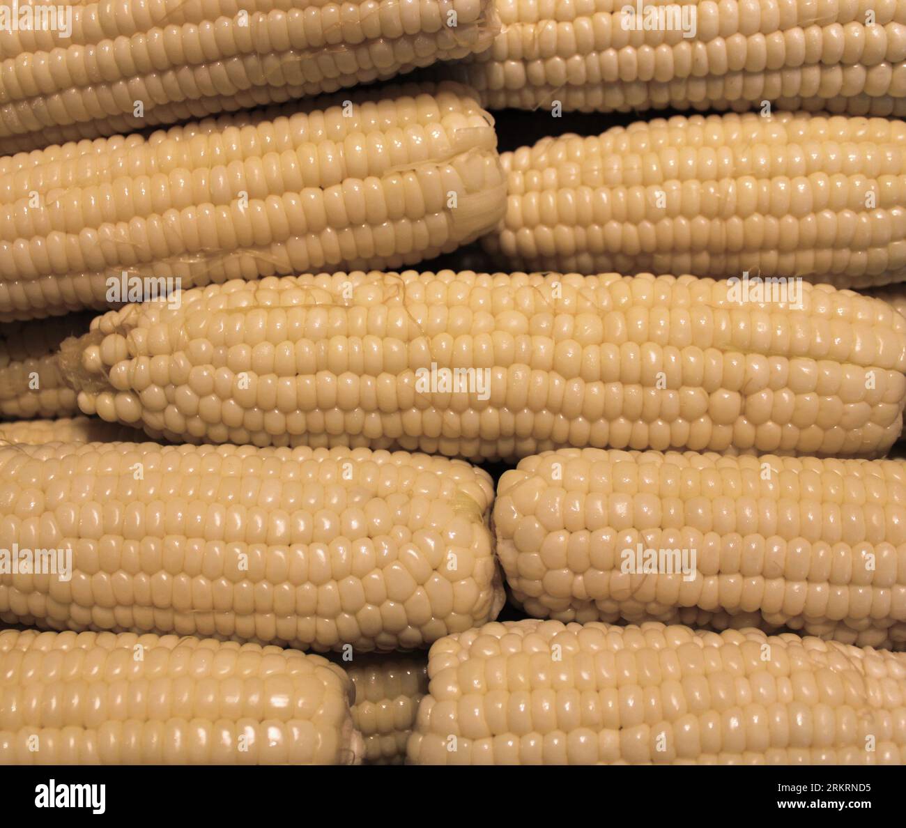 A Pile of Blanched Silver Queen Corn Stock Photo - Alamy