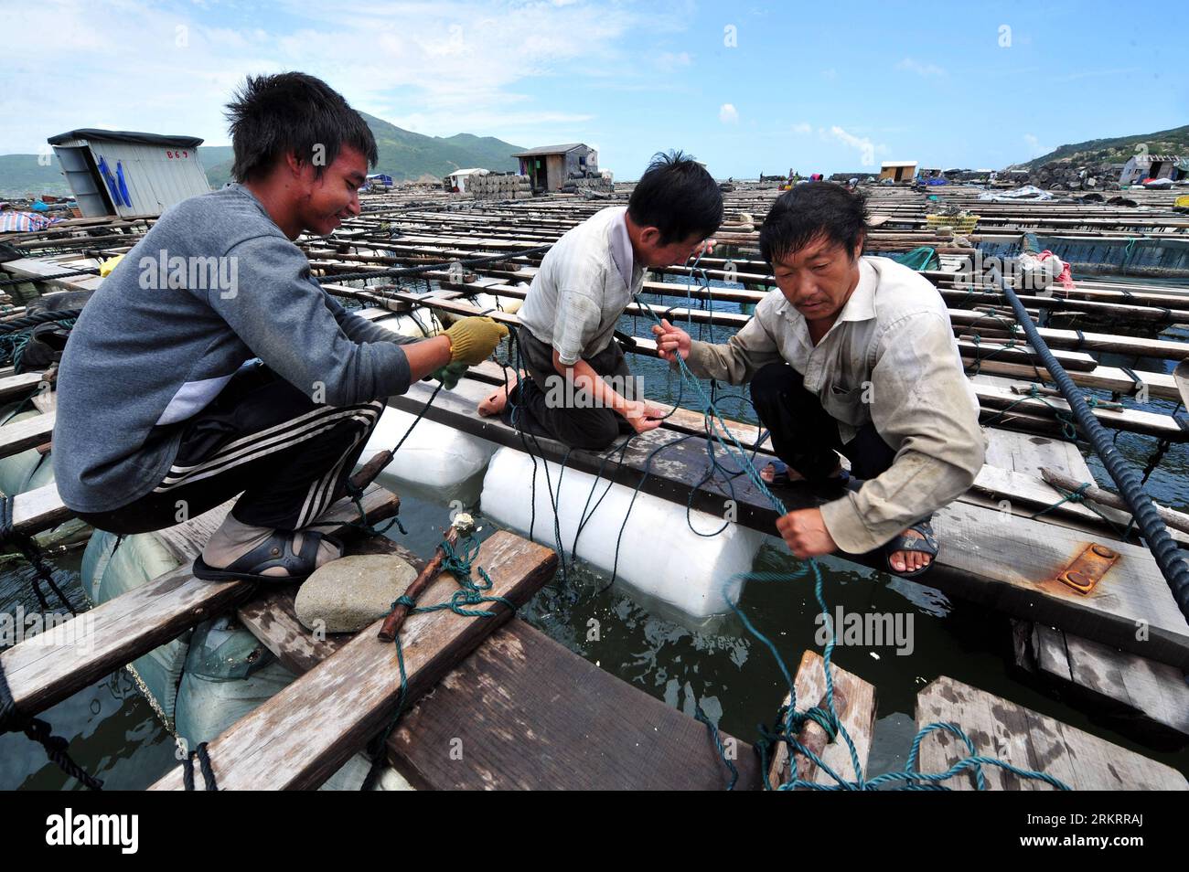 Pingtan fish hi-res stock photography and images - Alamy