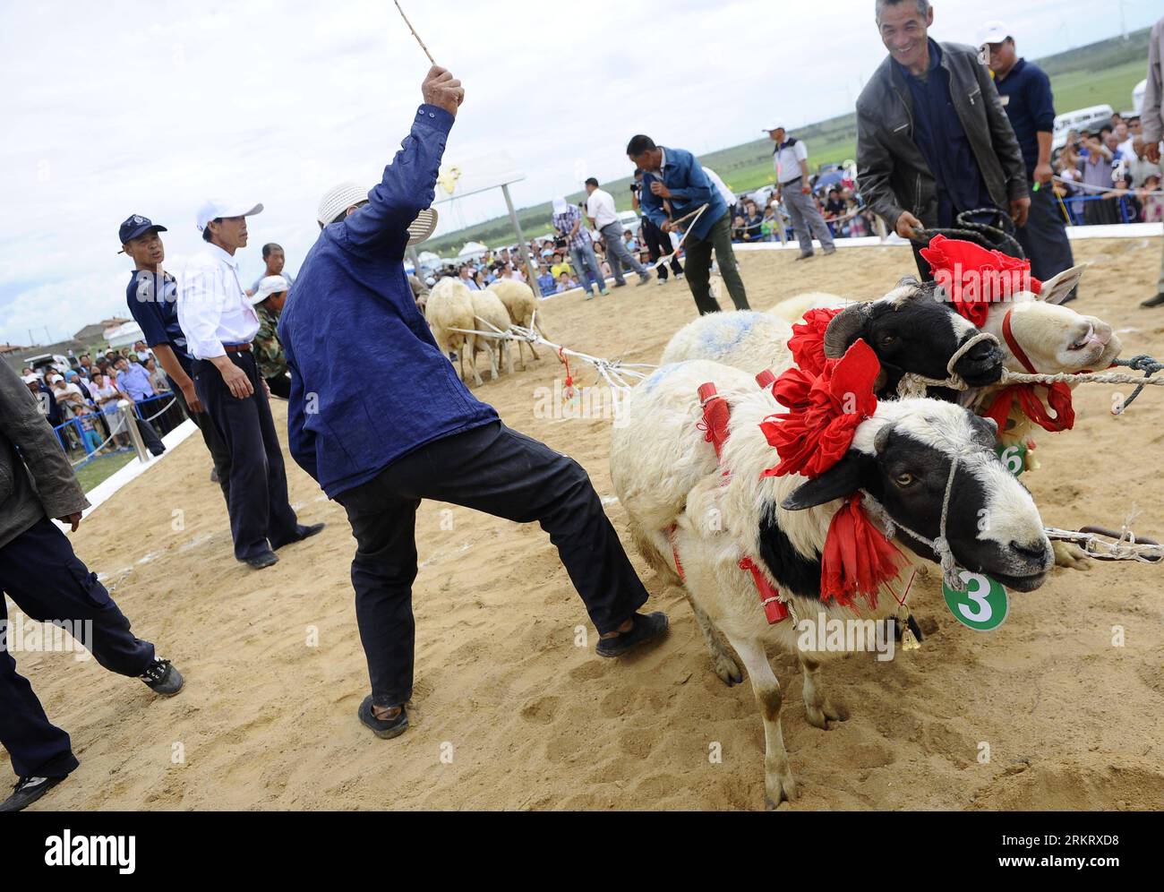 Pulling carts hi-res stock photography and images - Alamy