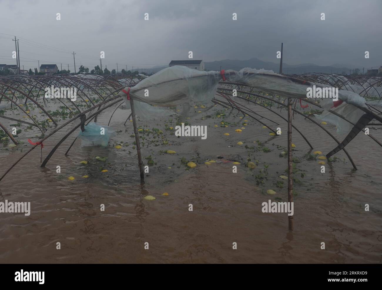 Graziery hi-res stock photography and images - Alamy