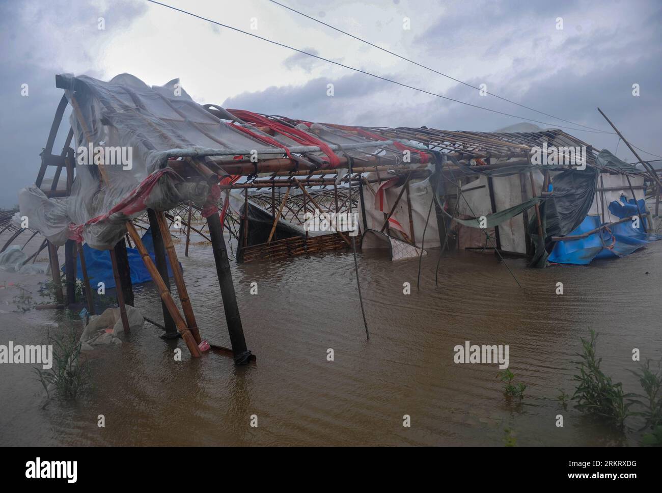 Graziery hi-res stock photography and images - Alamy