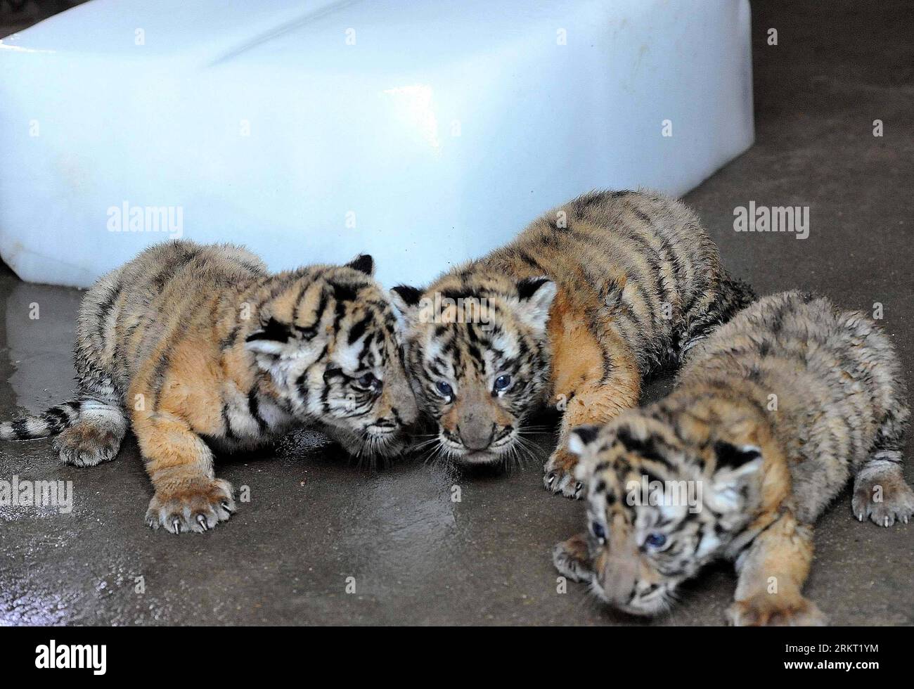 15 08 1996 hi-res stock photography and images - Alamy