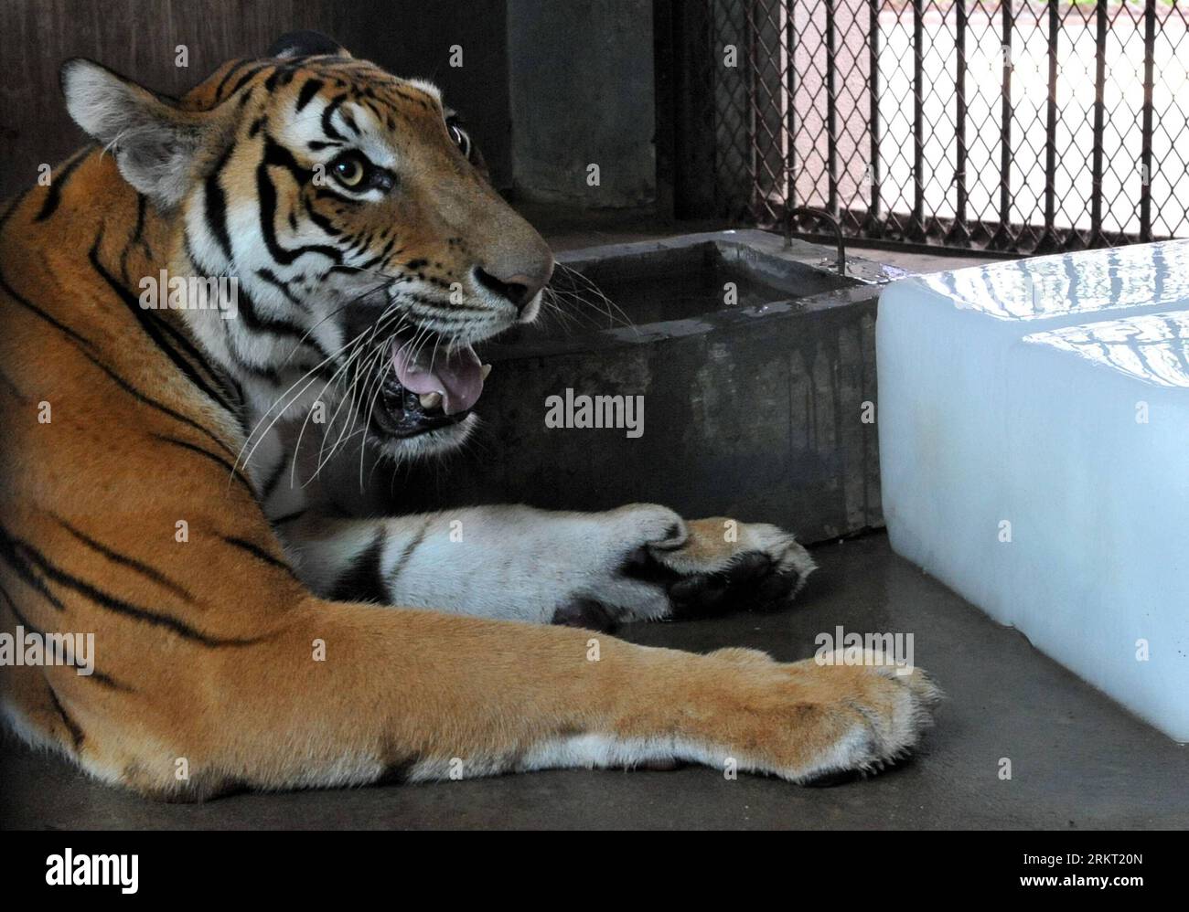 15 08 1996 hi-res stock photography and images - Alamy