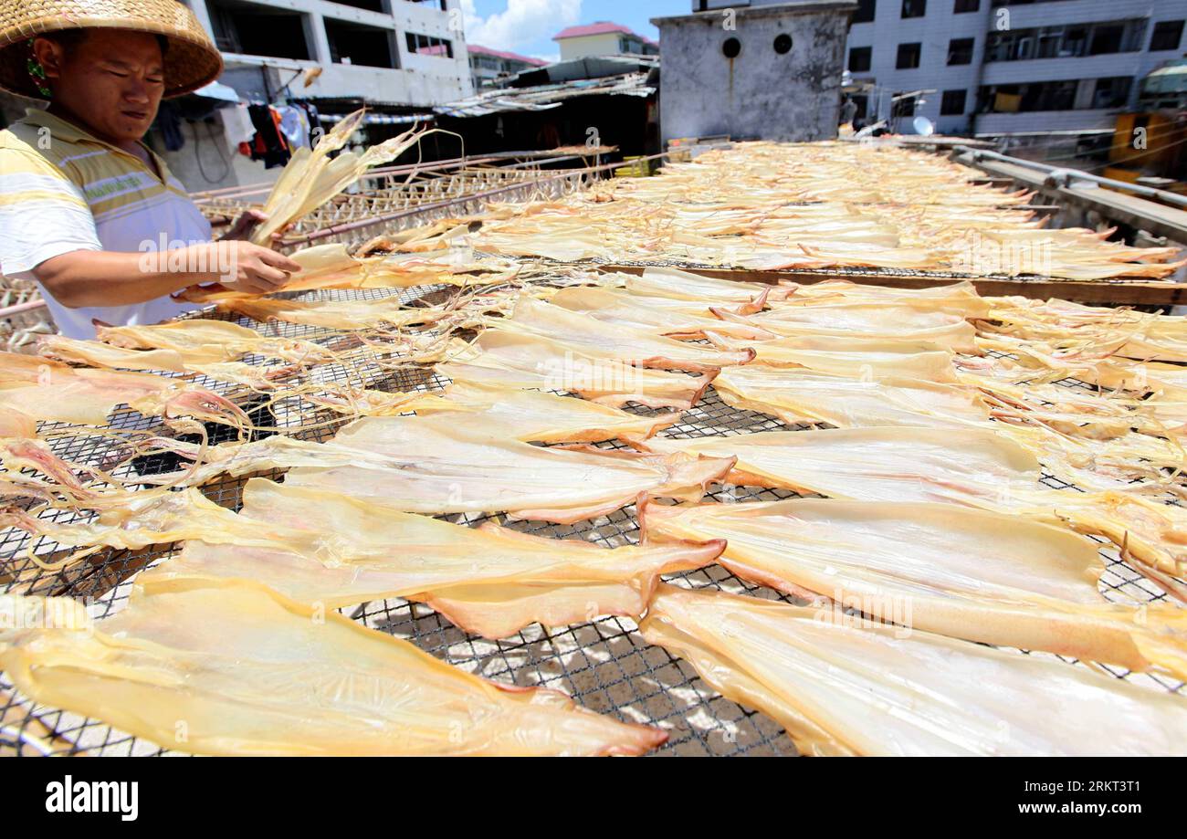 Bildnummer: 58363475 Datum: 19.08.2012 Copyright: imago/Xinhua (120819 ...