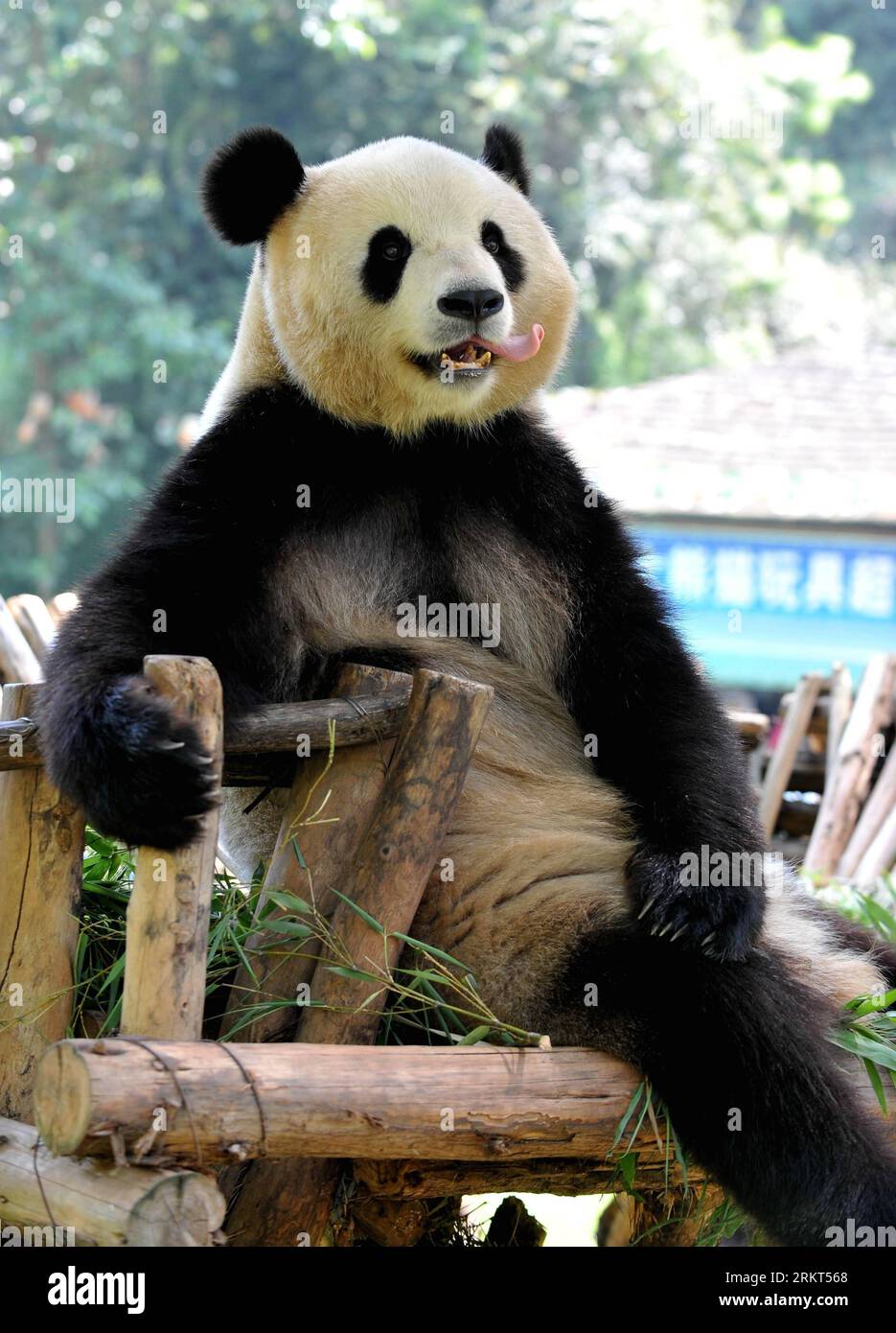 Yunnan safari park hi-res stock photography and images - Alamy