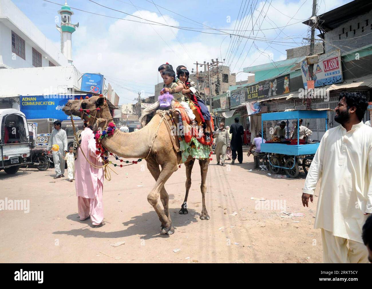 Camel kind hi-res stock photography and images - Alamy