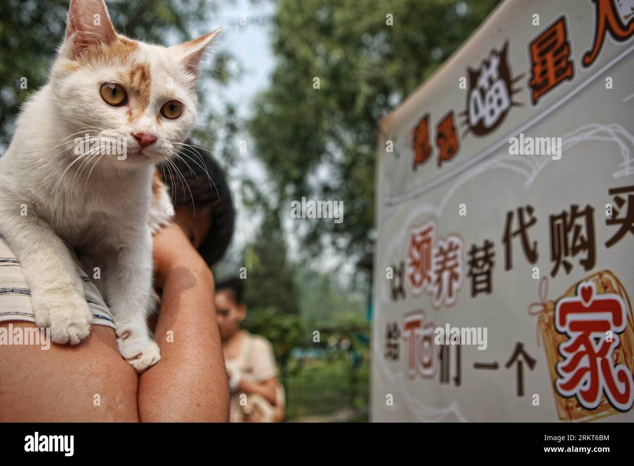 Tierheim help hi-res stock photography and images - Alamy