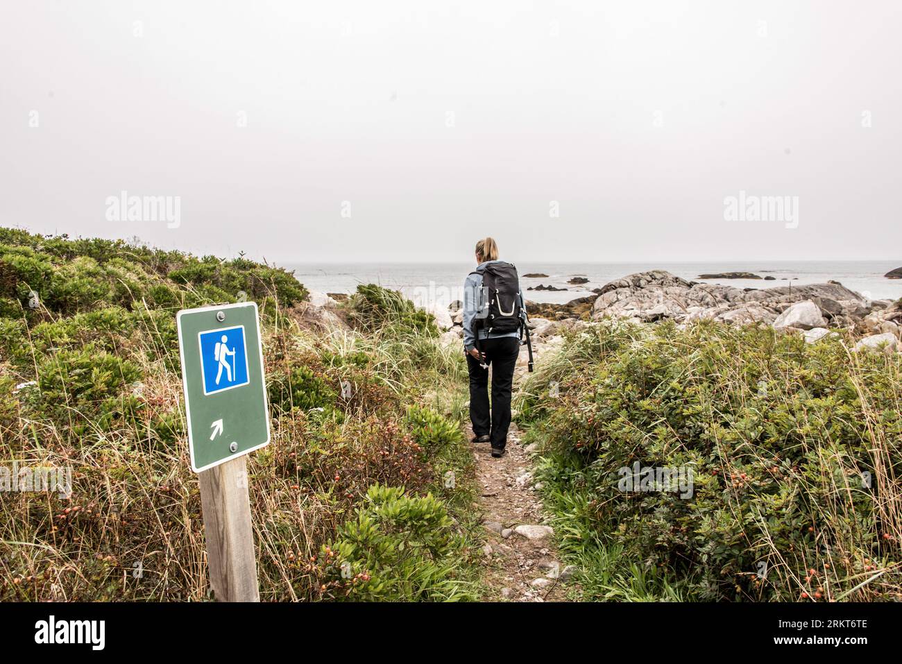 Exploring The Beach In The Mist Morning At Kejimkujik National Park