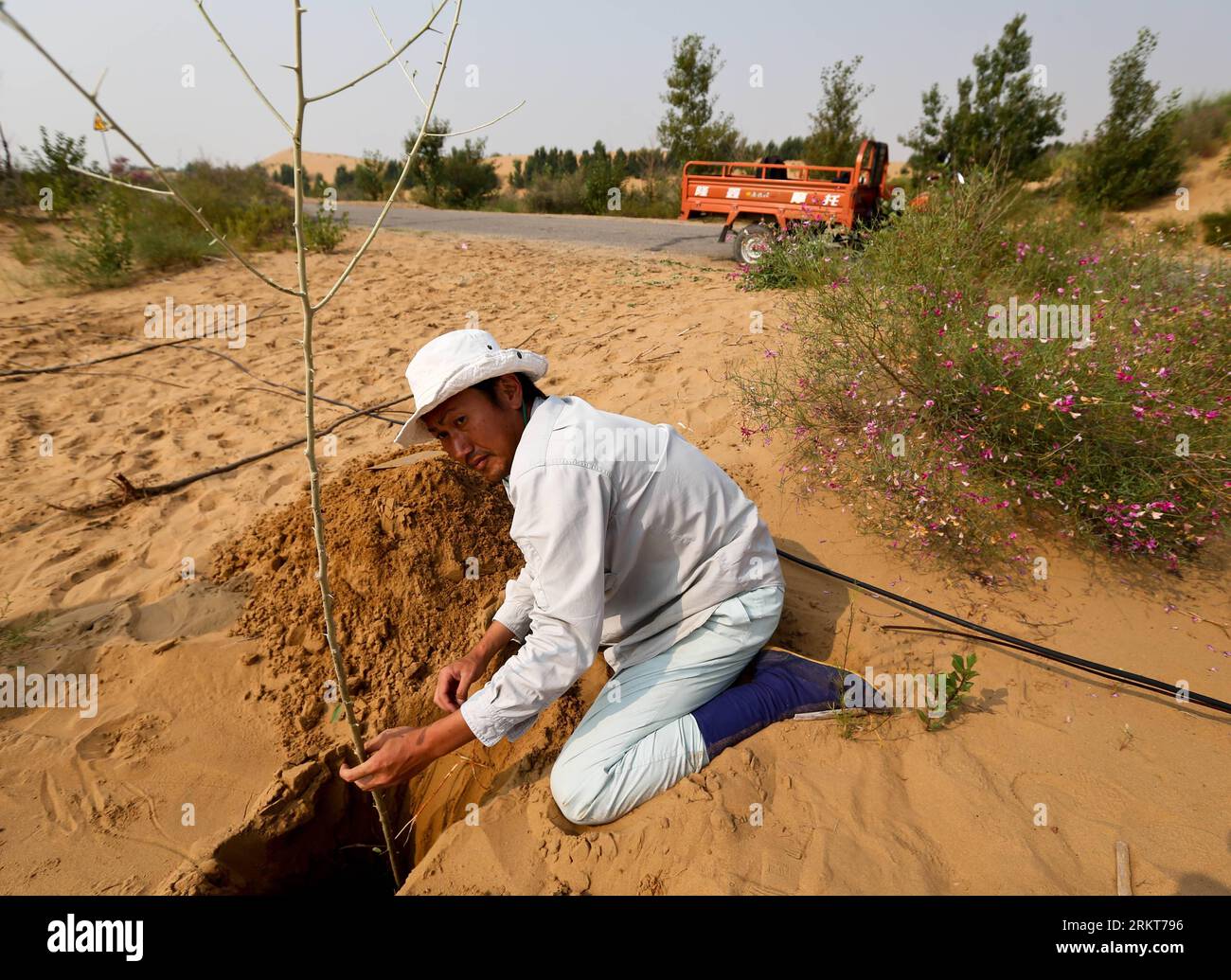 S 26 42 28 hi-res stock photography and images - Alamy