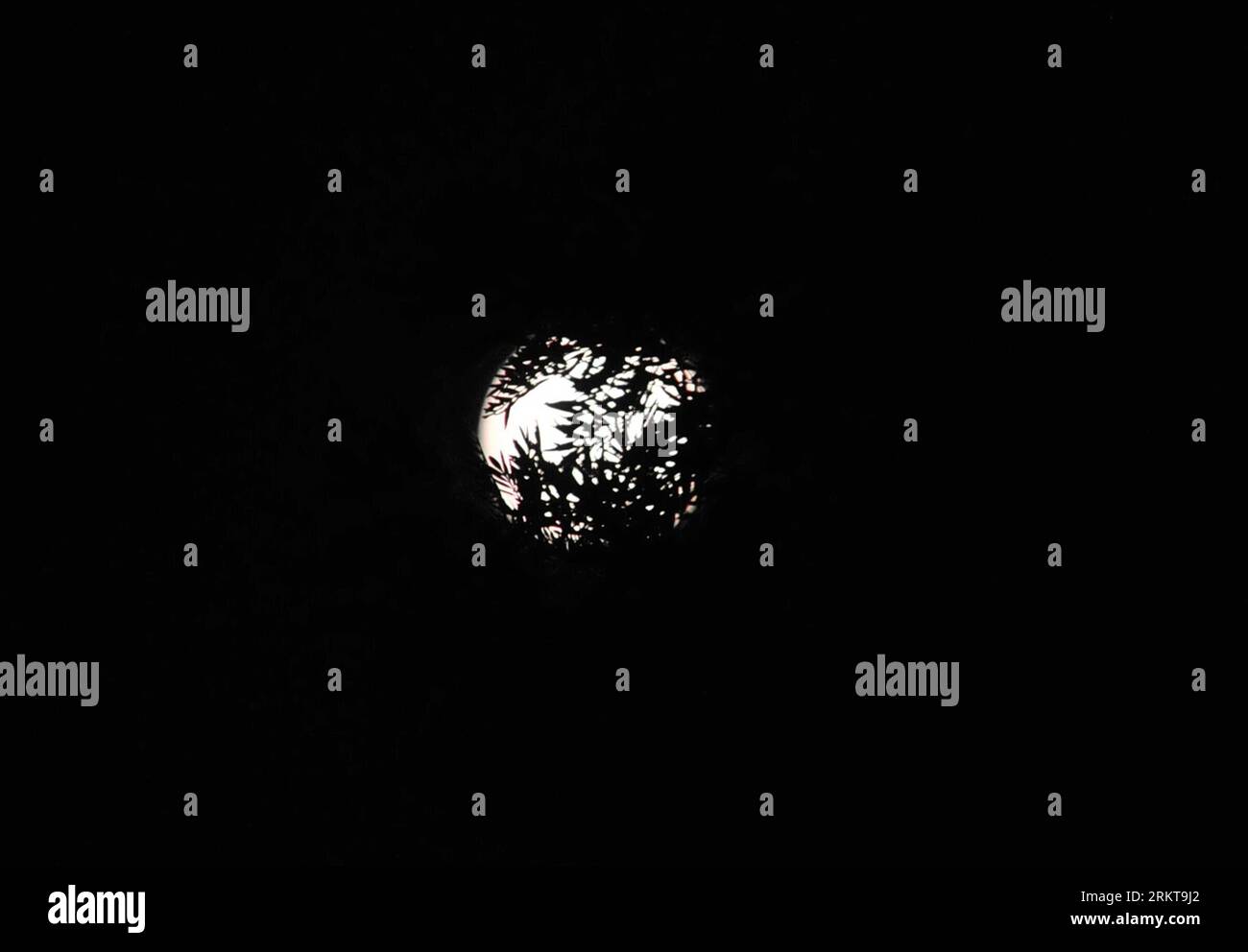 Calendar monthly calendar 31 days hi-res stock photography and images ...