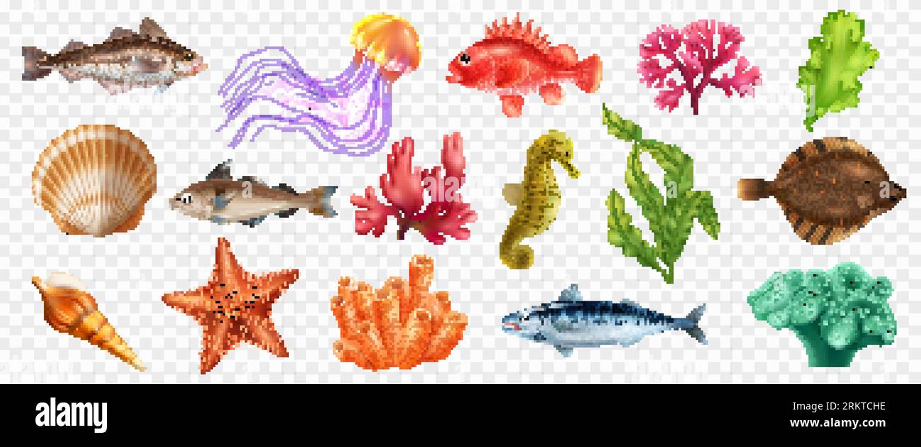 Sea life realistic set of fish algae and other ocean creatures isolated ...