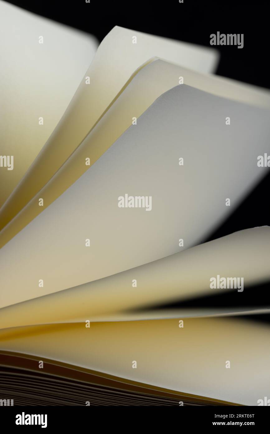 Micro of notebook pages and copy space on grey background Stock Photo ...