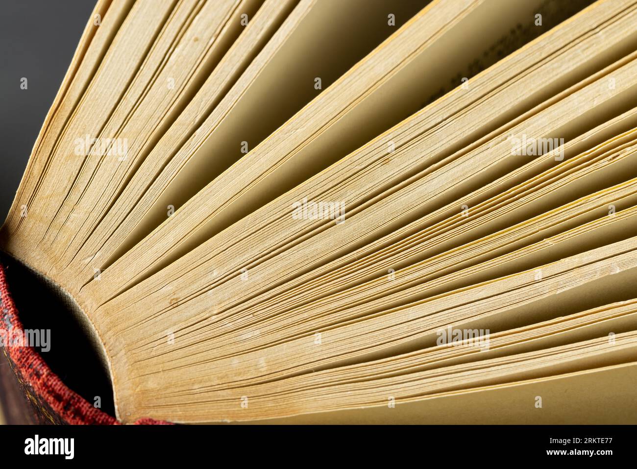 Micro of book pages and copy space on grey background Stock Photo - Alamy