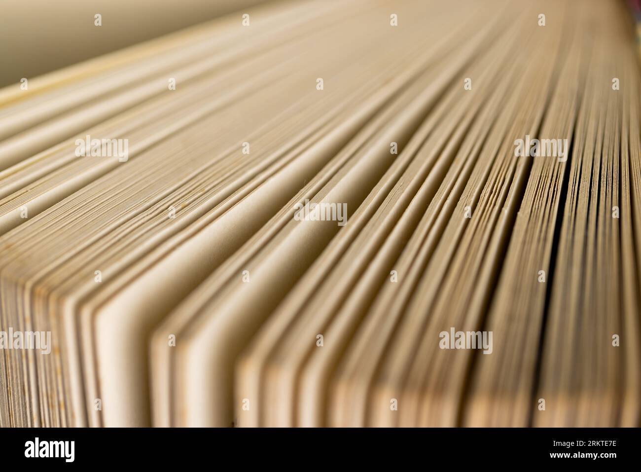 Micro of book pages and copy space on grey background Stock Photo - Alamy