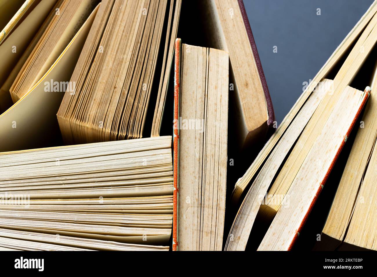 Micro of books and copy space on grey background Stock Photo - Alamy