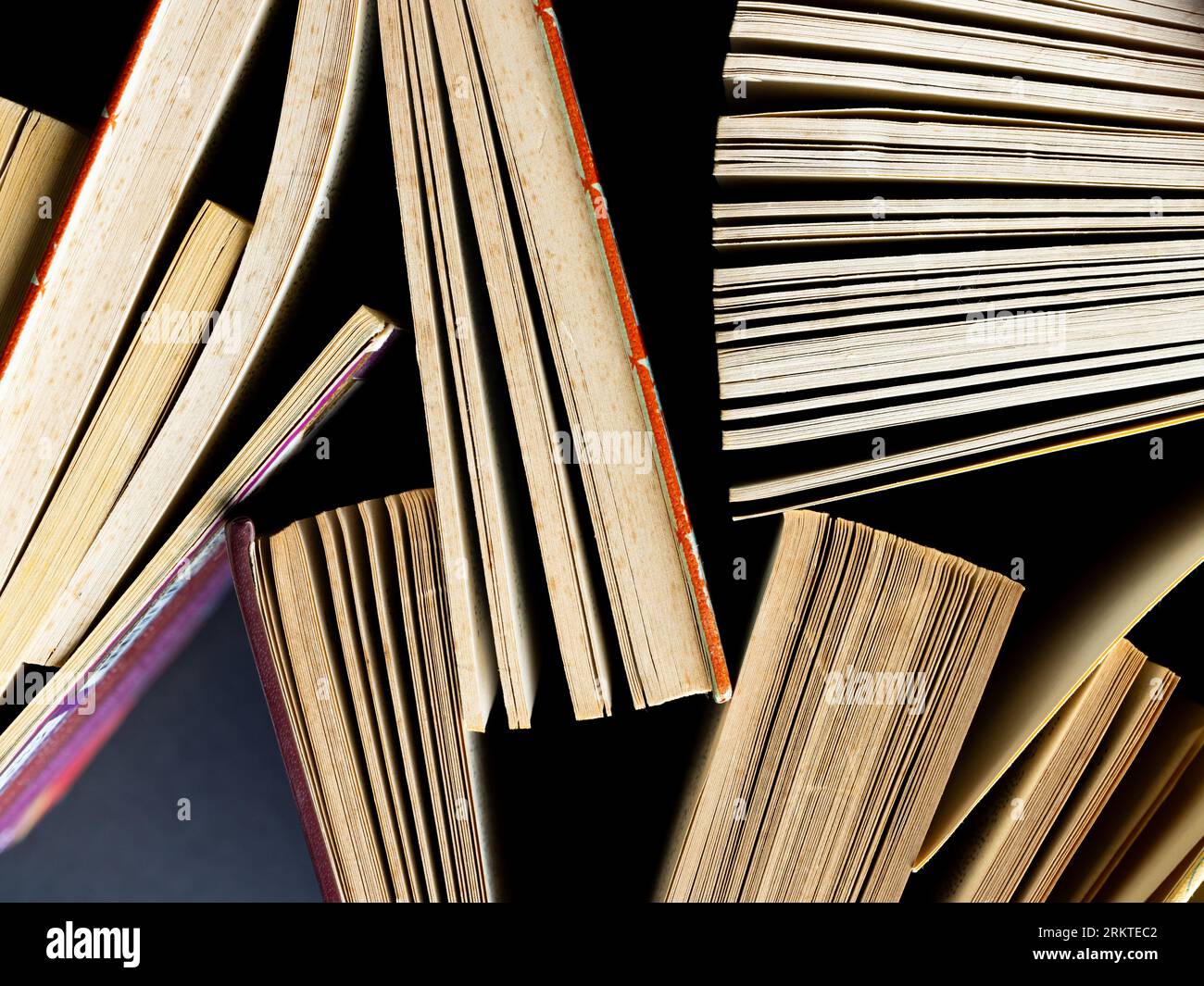 Micro of books and copy space on grey background Stock Photo - Alamy