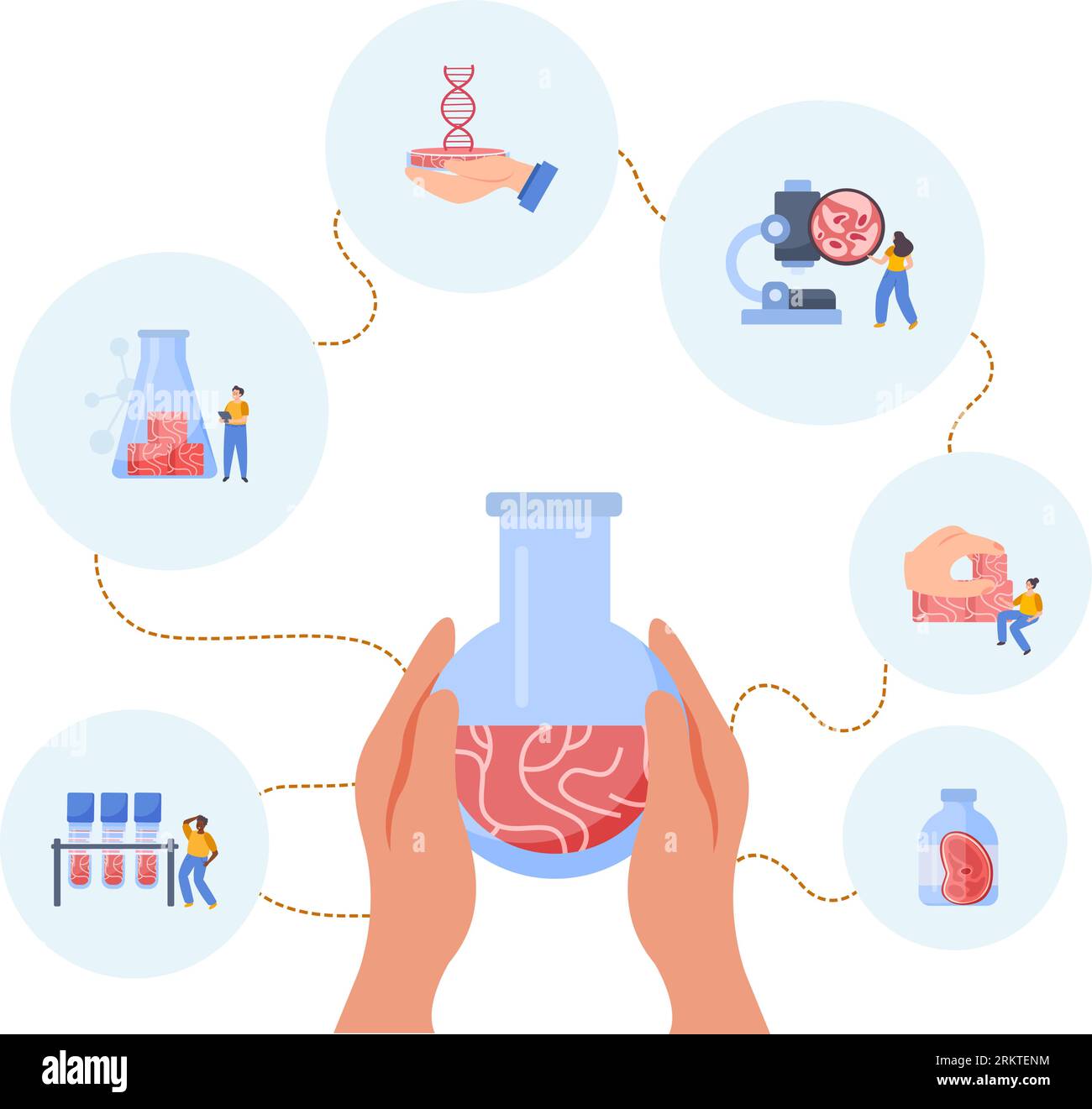 Artificial grown meat composition with blank background and human hands ...