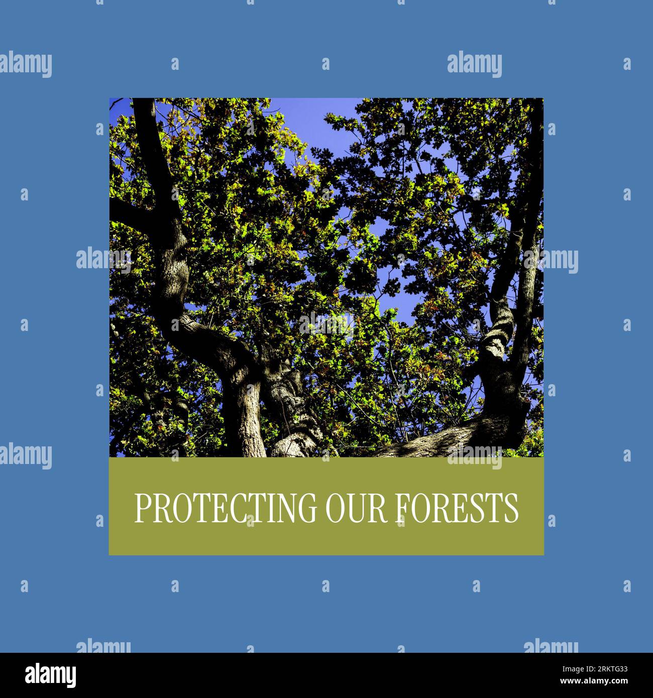 Composite of protecting our forests text over from below view of trees ...
